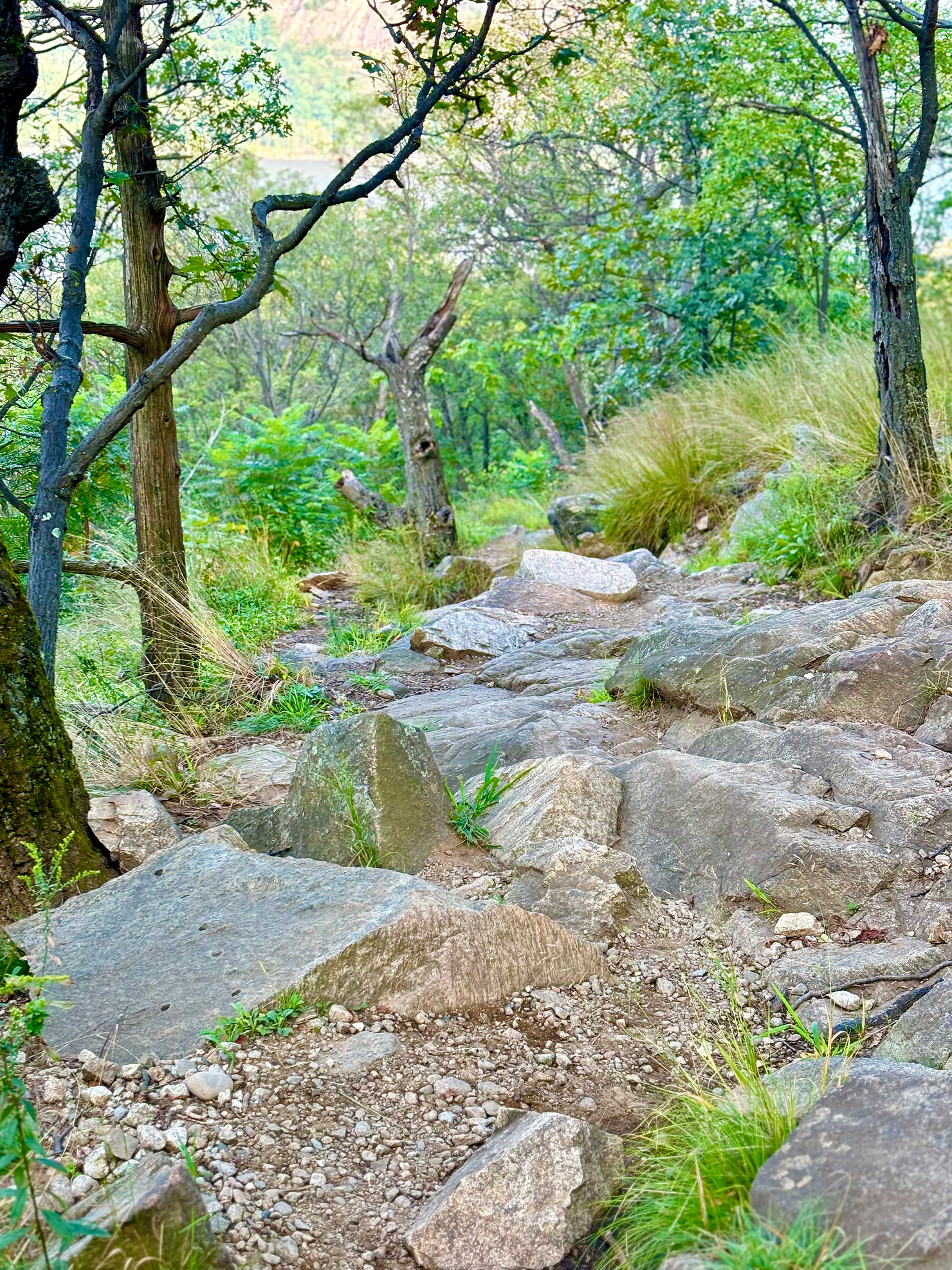 Watch Your Step – Pull Up Therapy